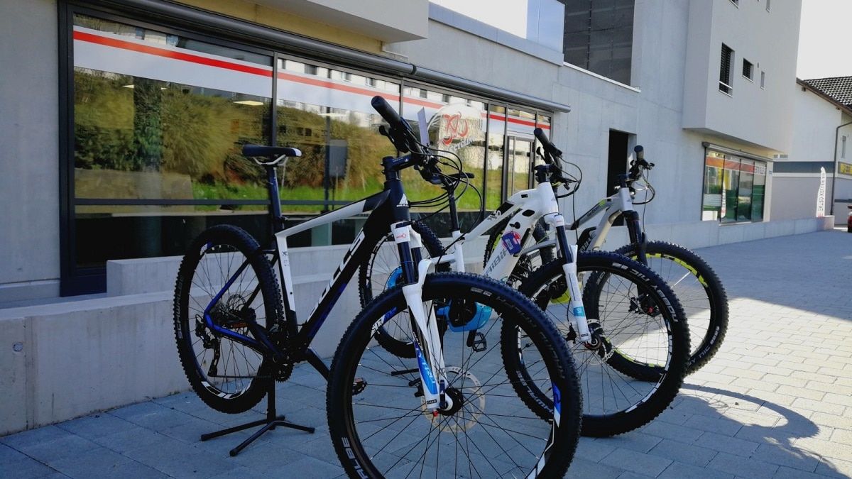 Welche Fahrradmarke passt zu Ihnen? - Wolf Cycling